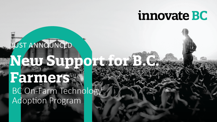 Innovate BC Launches New Microgrant Platform to Accelerate Startup Growth Across British Columbia